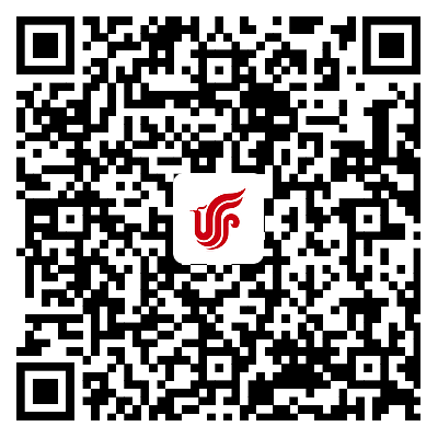 Prepaid Excess Baggage